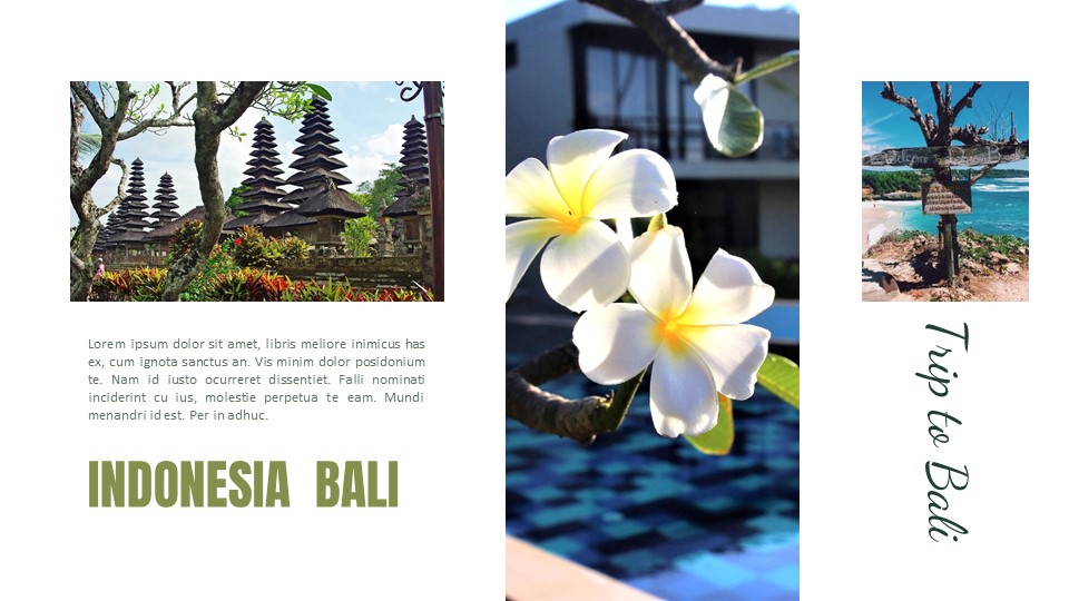 Trip to Bali Google Slides Presentation