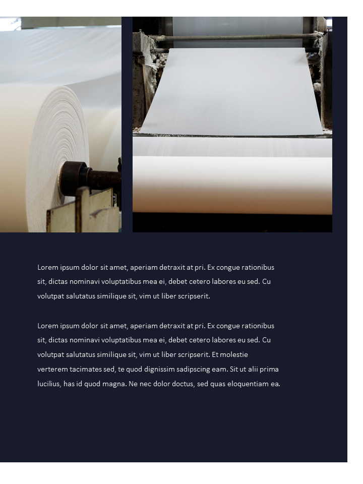 Pulp and Paper Industry Google Slides Template Diagrams Design