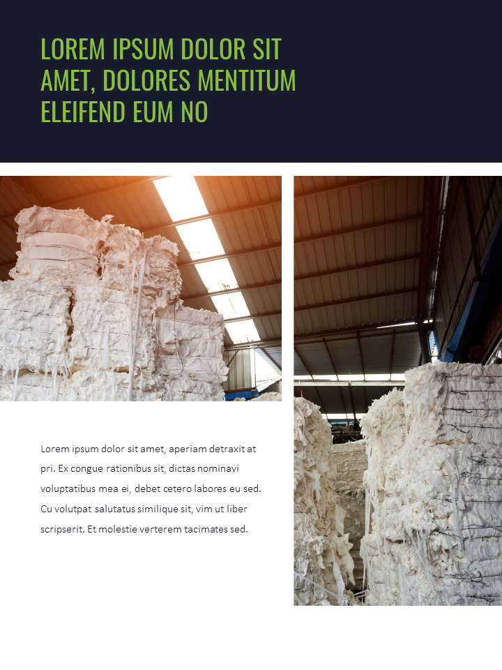 Pulp and Paper Industry Google Slides Template Diagrams Design