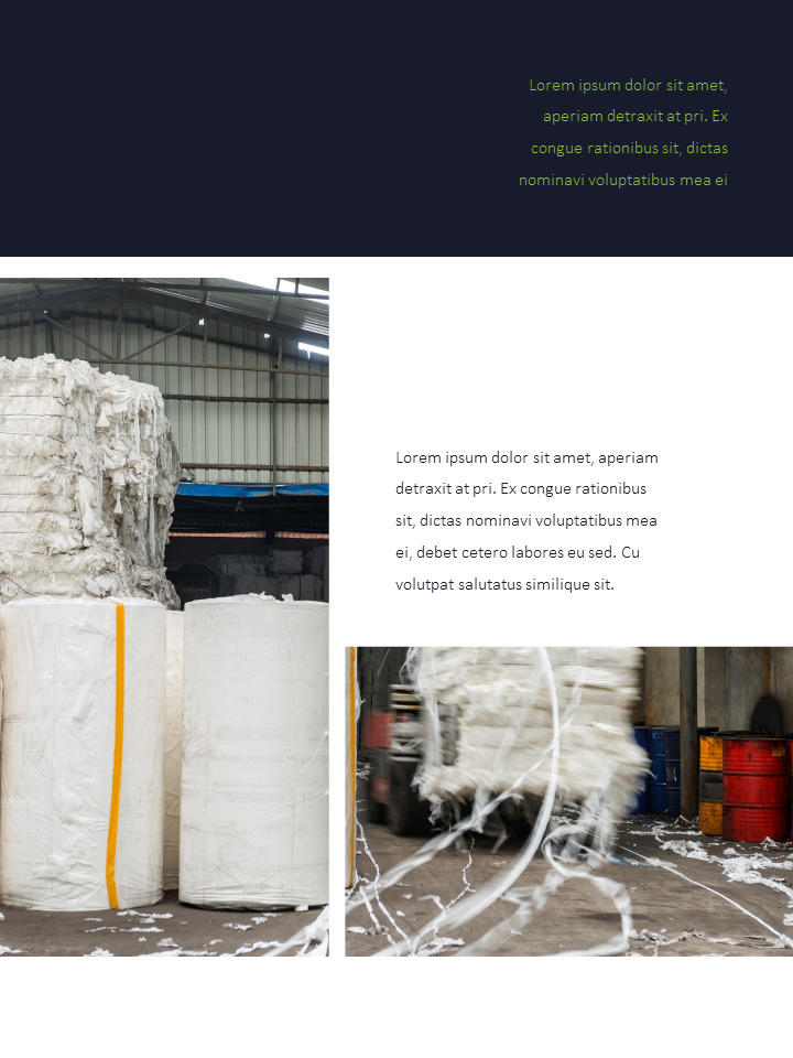 Pulp and Paper Industry Google Slides Template Diagrams Design