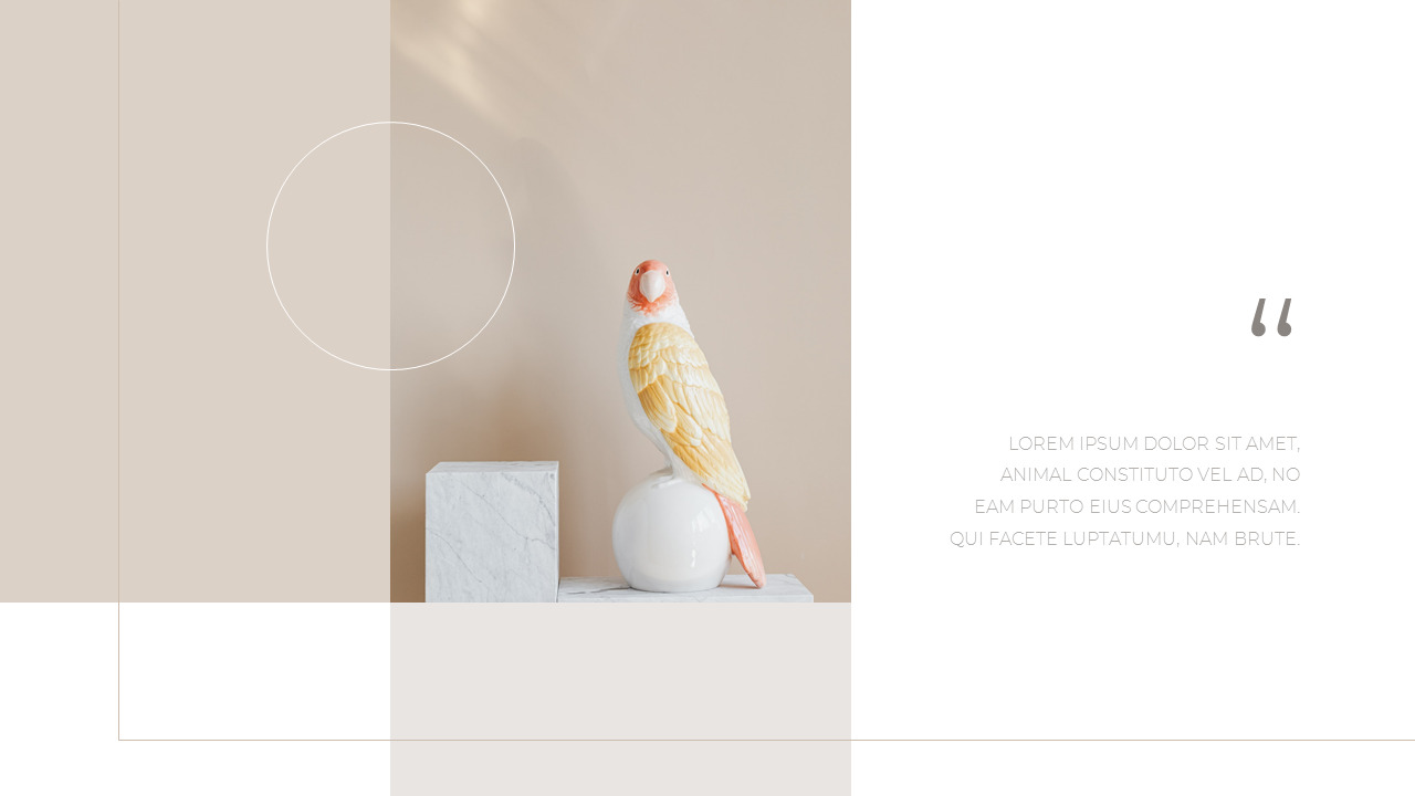 Minimal Art Deco Design Simple Slides Design|Lifestyle|Google