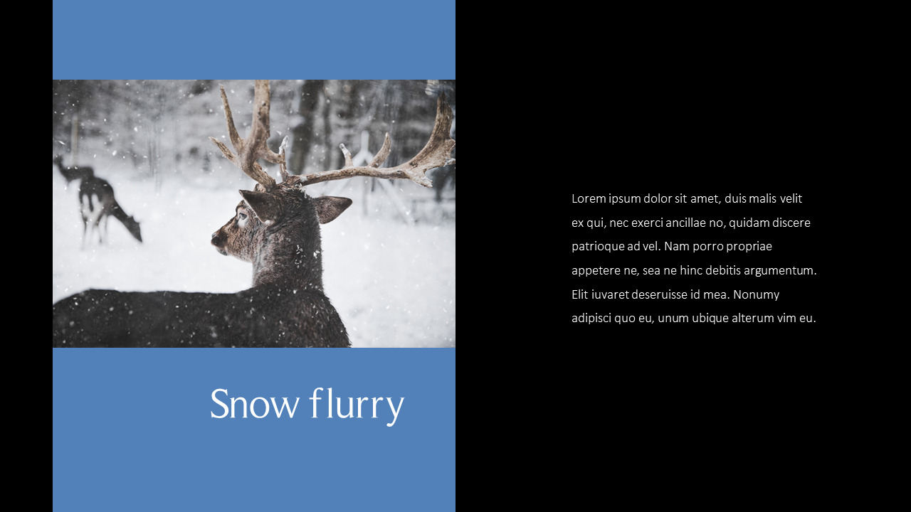 Snow presentation slide|Lifestyle|PPT Templates