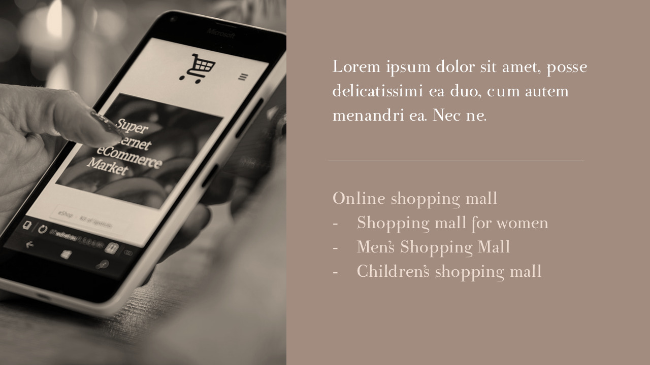 Online Shopping mall Proposal Presentation Templates