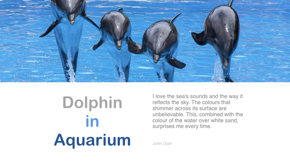 Dolphin Keynote Presentation Template