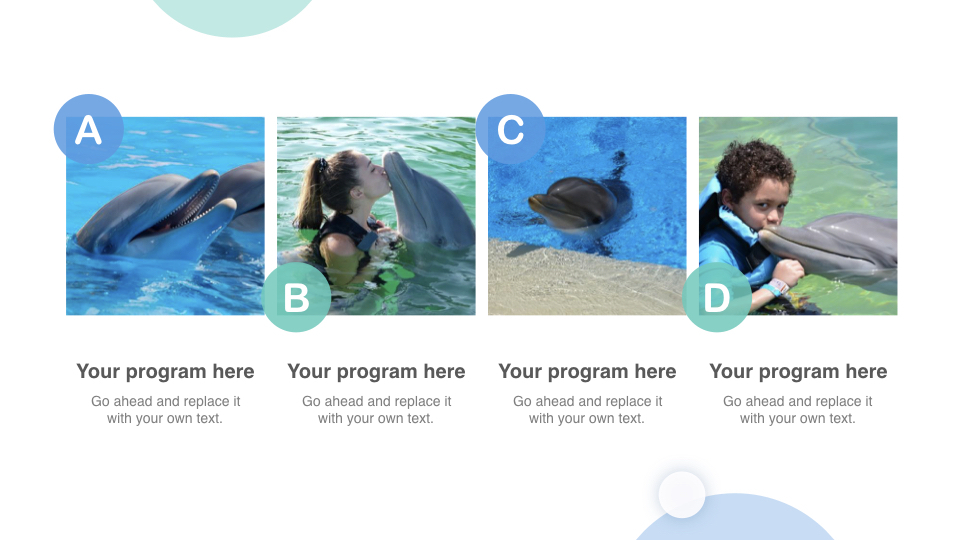 Dolphin Keynote Presentation Template