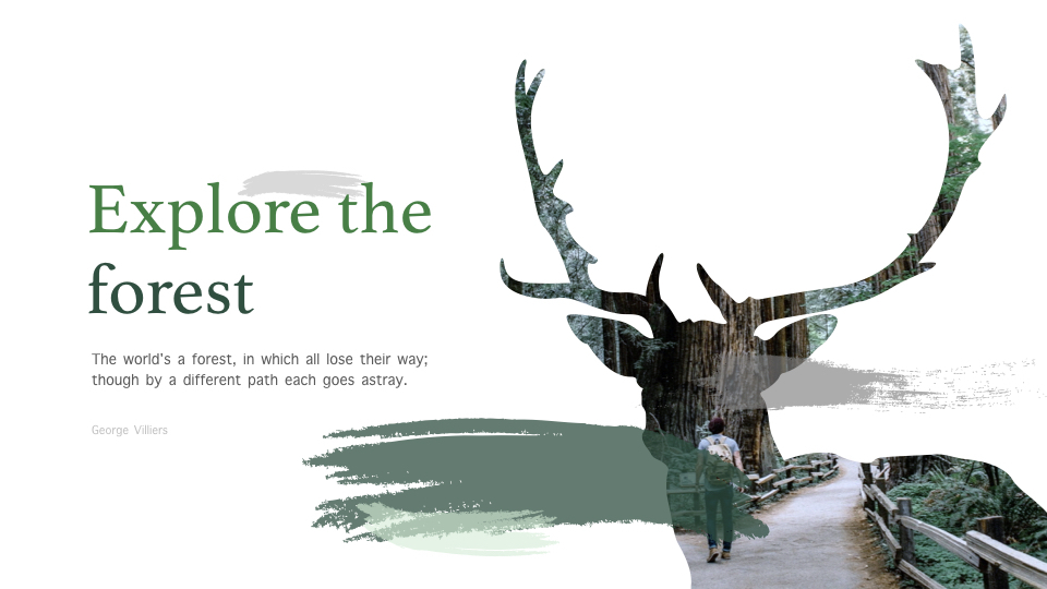 Forest Multipurpose Presentation Keynote Template