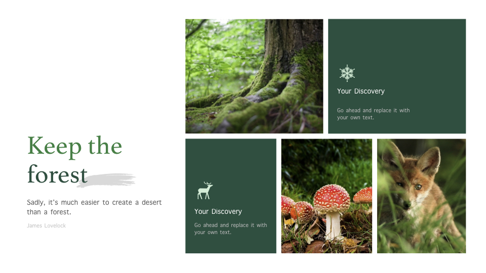 Forest Multipurpose Presentation Keynote Template
