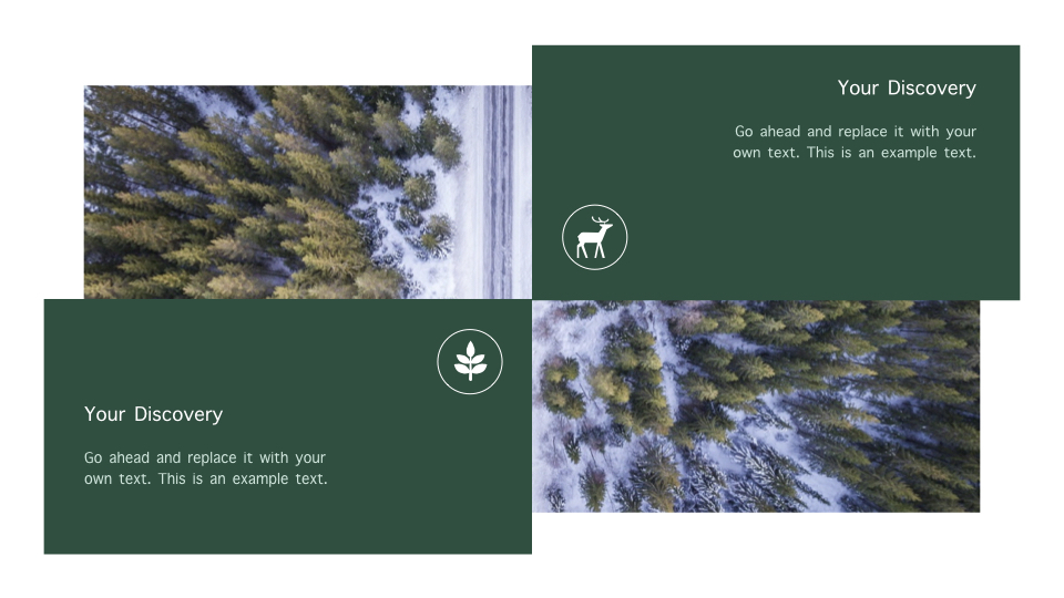 Forest Multipurpose Presentation Keynote Template