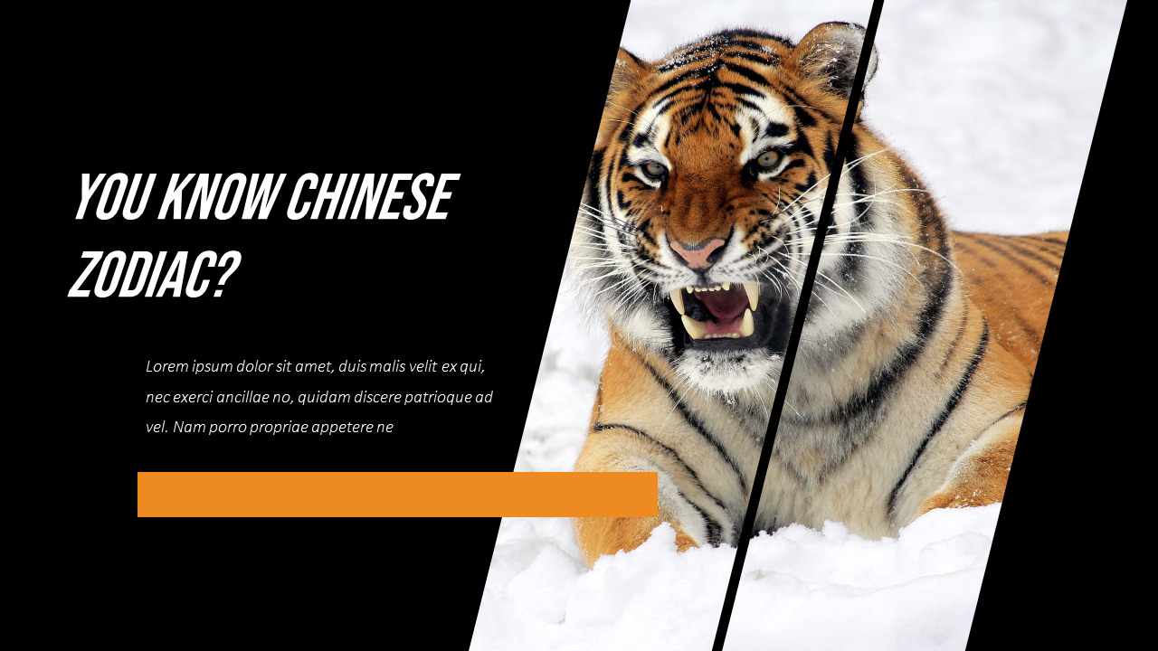 Year of the Tiger PowerPoint Format|Lifestyle|Templates