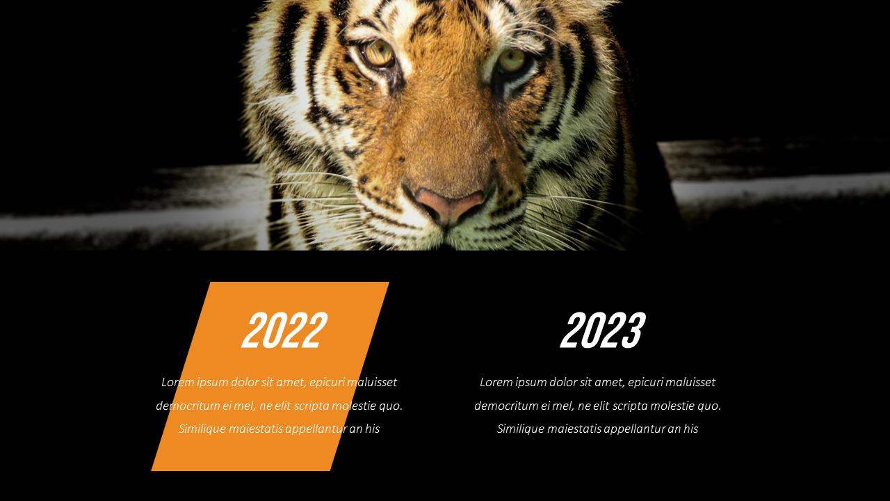Year of the Tiger PowerPoint Format|Lifestyle|Templates