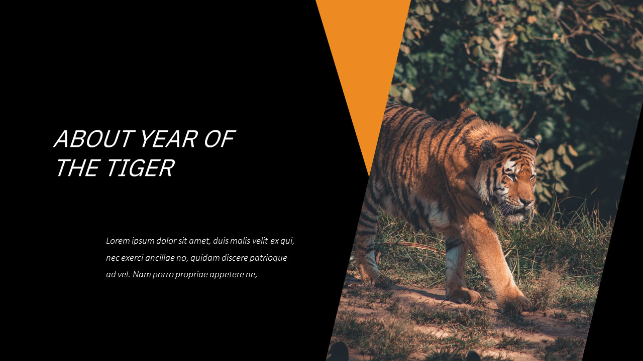 Year of the Tiger slide template|Lifestyle|Google