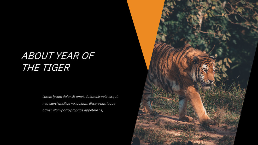 Year of the Tiger slide template|Lifestyle|Google