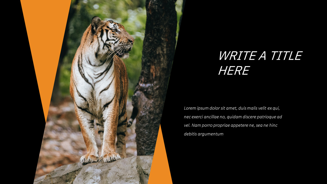 Year of the Tiger slide template|Lifestyle|Google