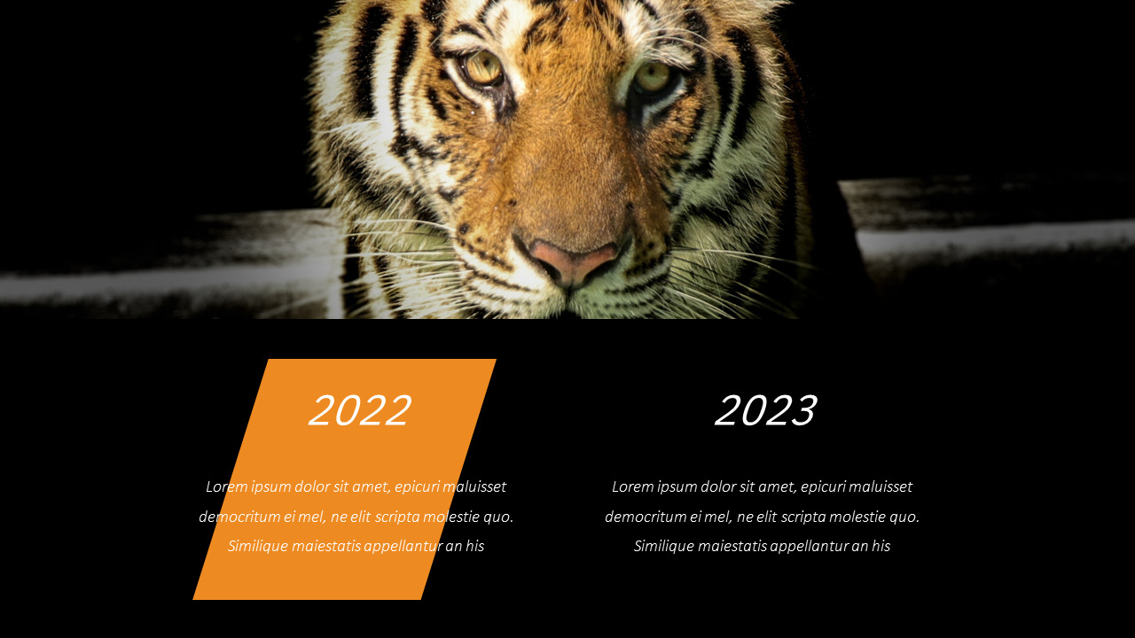 Year of the Tiger slide template|Lifestyle|Google