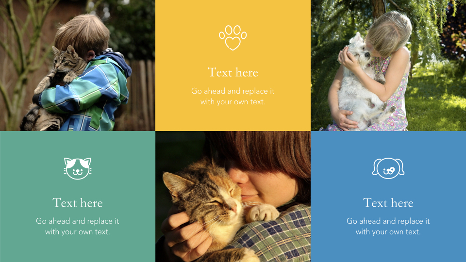 My Pet Multipurpose Presentation Keynote Template