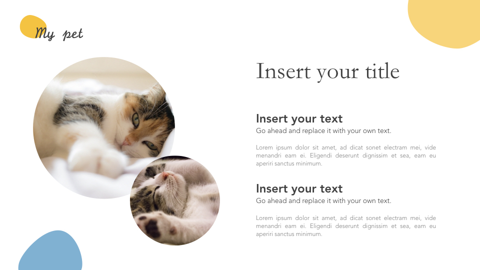 My Pet Multipurpose Presentation Keynote Template