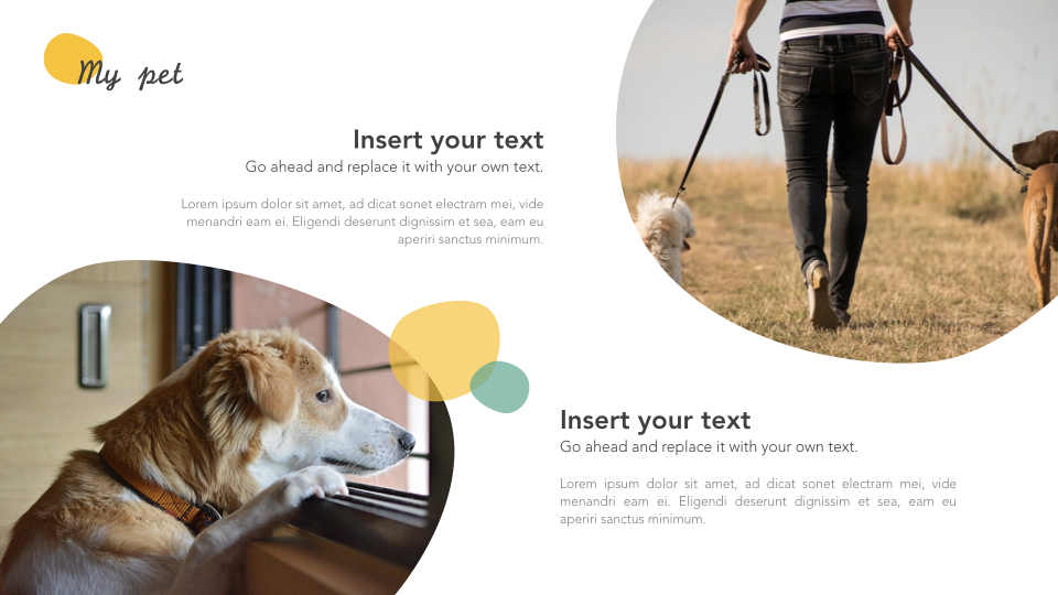 My Pet Multipurpose Presentation Keynote Template