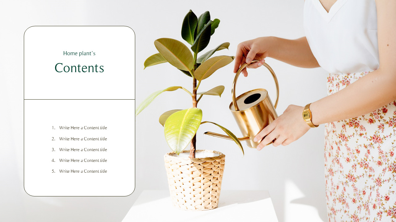 Home Plant’s Presentation Templates Design