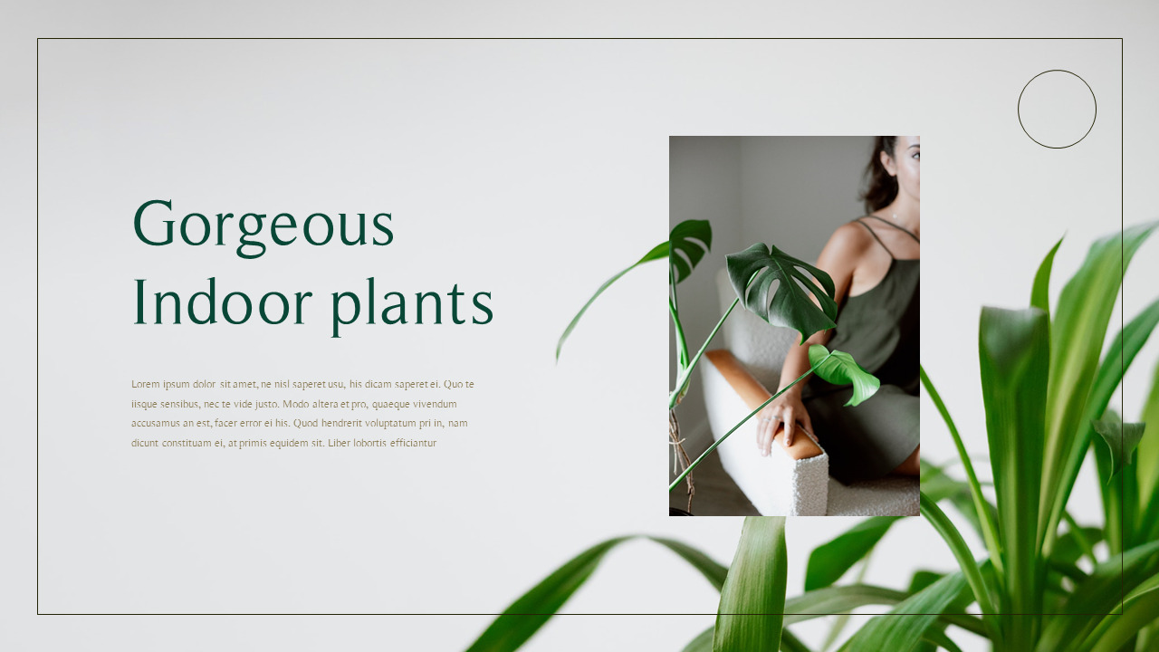 Plantas caseras Diseño de Plantillas de Presentación