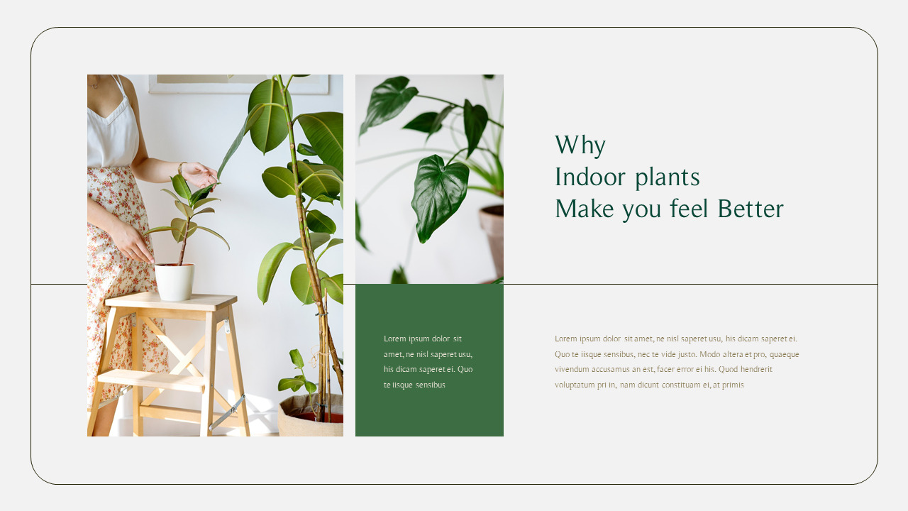 Home Plant’s Presentation Templates Design