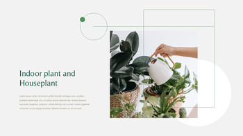 Home Plant’s Presentation Templates Design