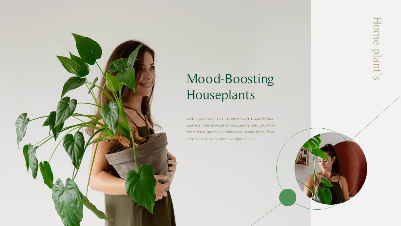 Home Plant’s Presentation Templates Design
