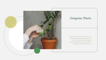 Home Plant’s Presentation Templates Design