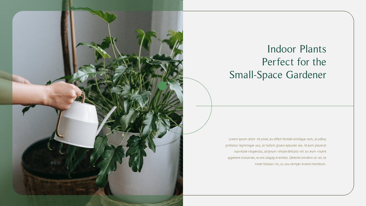 Home Plant’s Presentation Templates Design