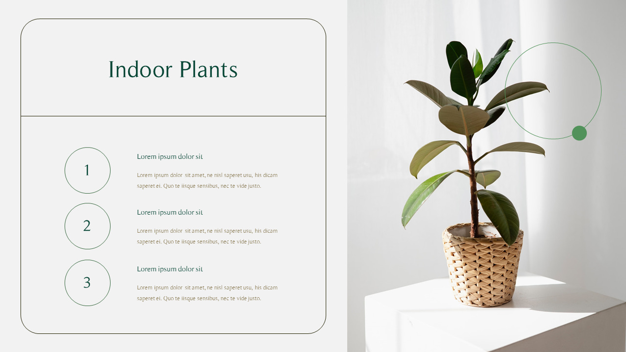 Home Plant’s Presentation Templates Design
