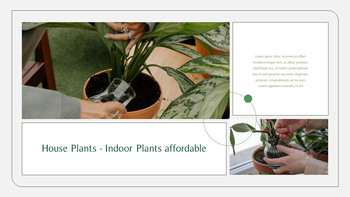Home Plant’s Presentation Templates Design