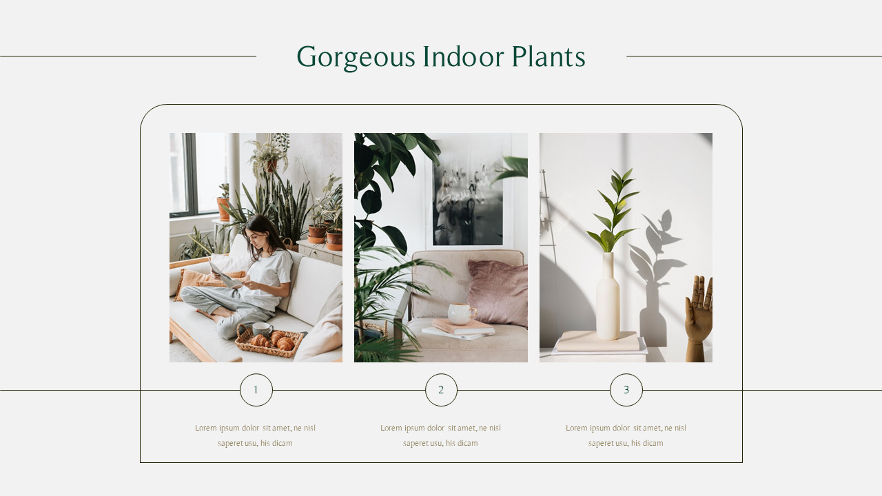 Home Plant’s Presentation Templates Design