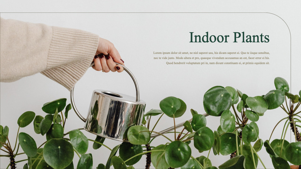 Home Plant’s PowerPoint for mac