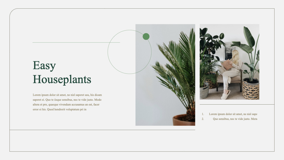 Home Plant’s PowerPoint for mac