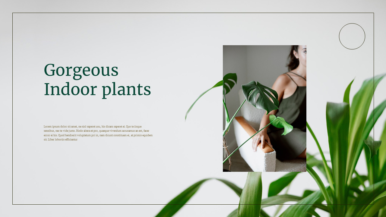 Home Plant’s template google slides