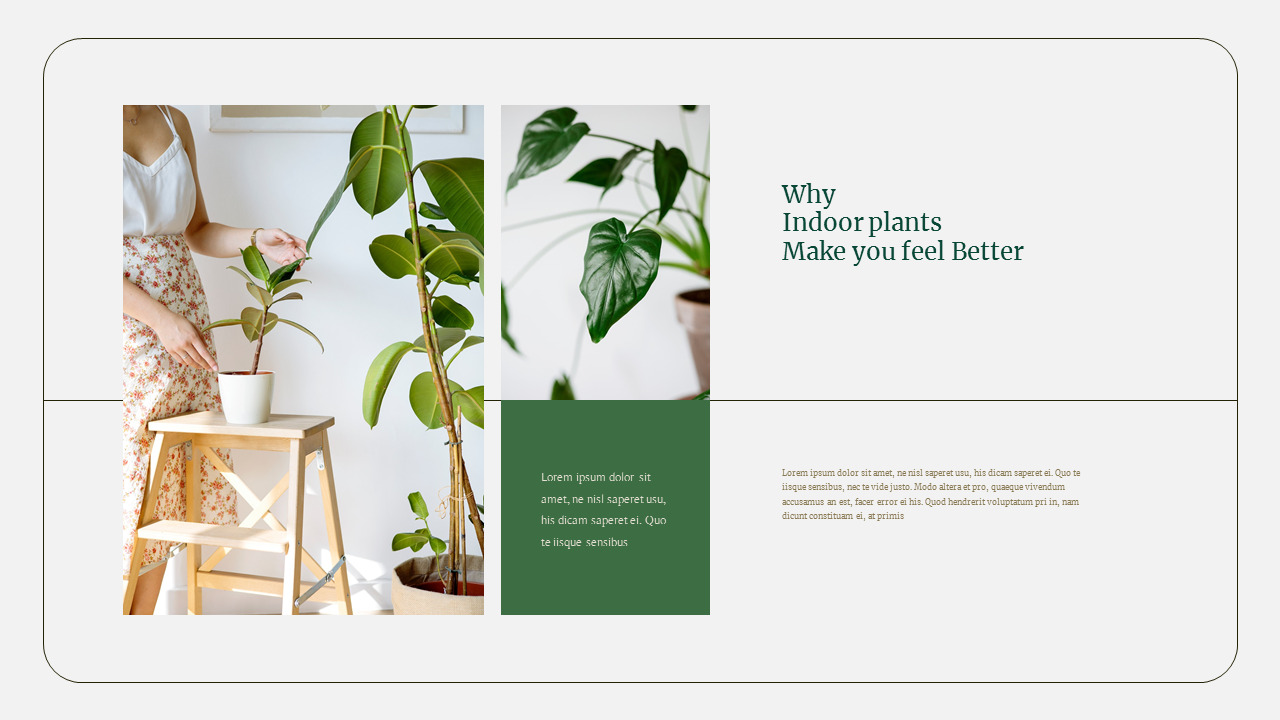 Home Plant’s template google slides