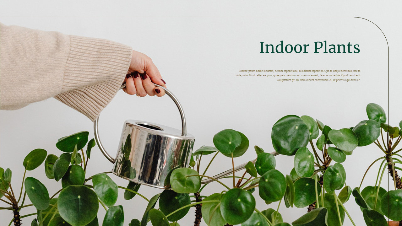 Home Plant’s template google slides