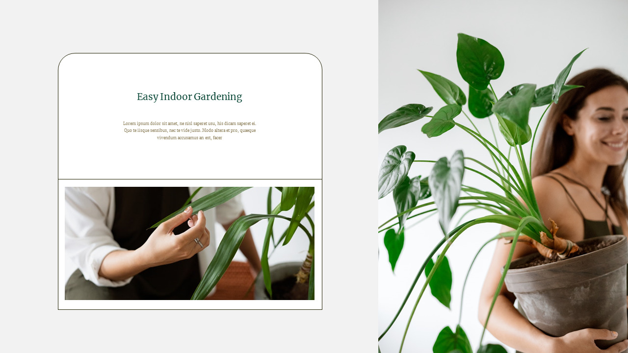 Home Plant’s template google slides