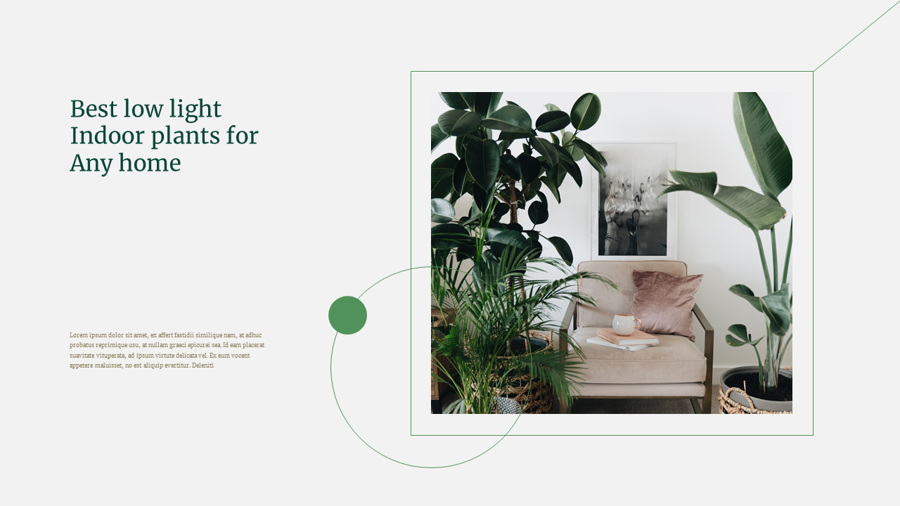 Home Plant’s template google slides