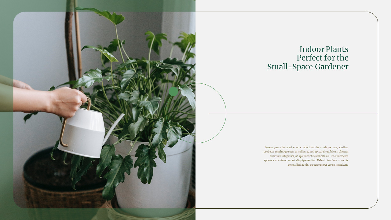 Home Plant’s template google slides