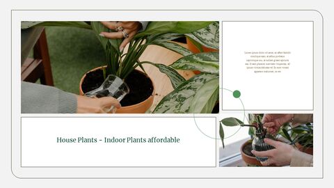 Home Plant’s template google slides