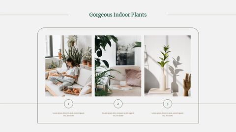 Home Plant’s template google slides
