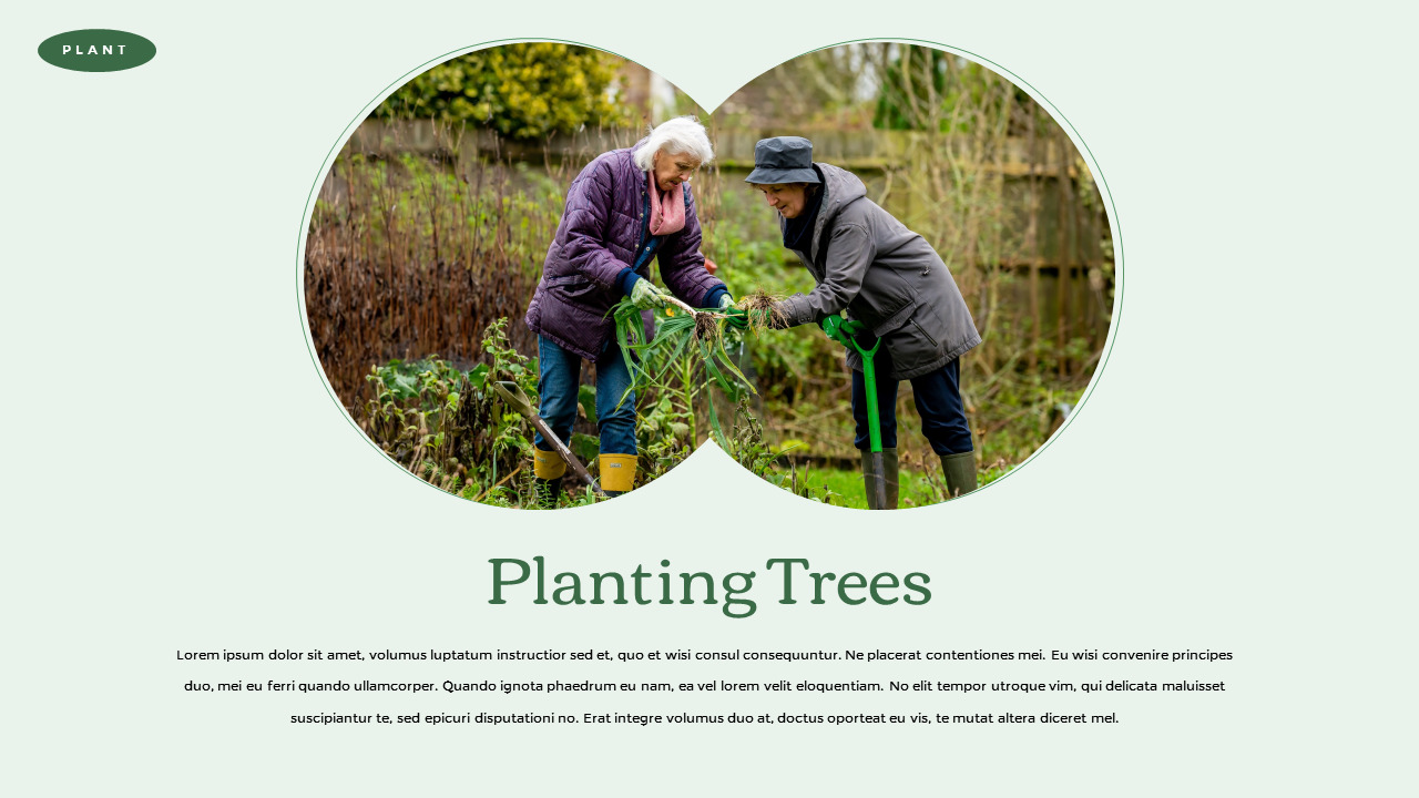 Planting Trees Slide Presentation|Lifestyle|PPT Templates