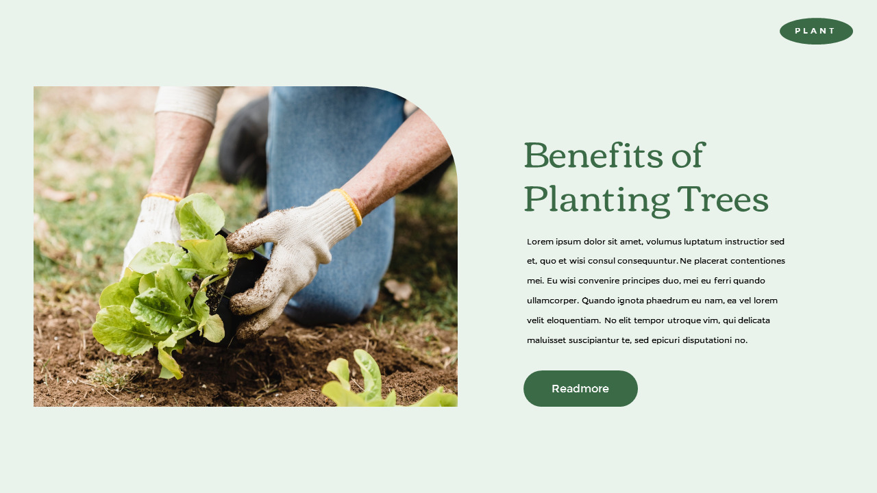 Planting Trees Slide Presentation|Lifestyle|PPT Templates