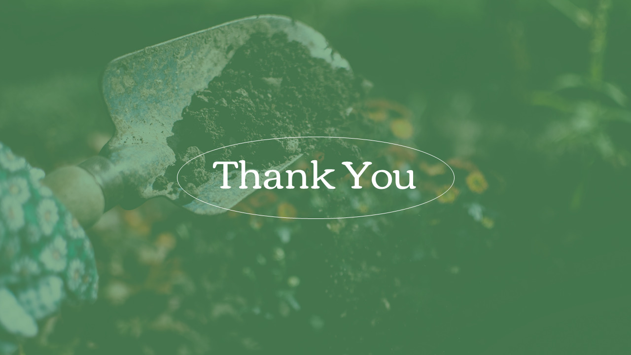 Planting Trees Slide Presentation|Lifestyle|PPT Templates