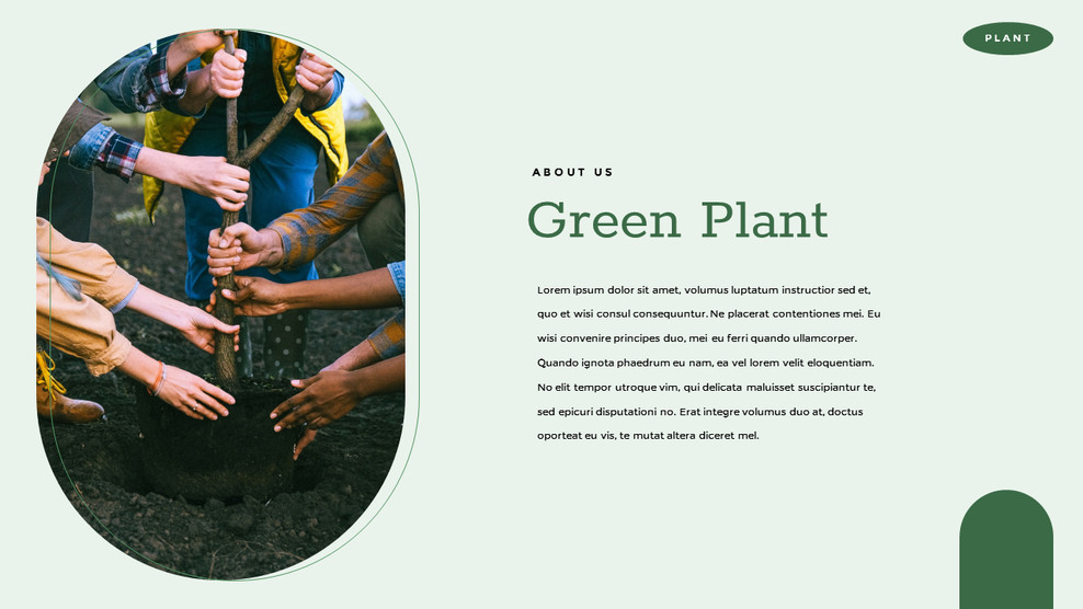 Planting Trees slideshare ppt|Lifestyle|Google