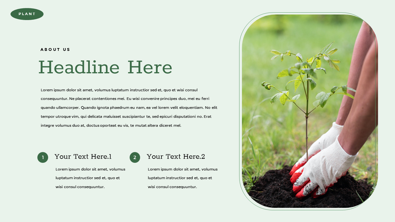 Planting Trees slideshare ppt|Lifestyle|Google