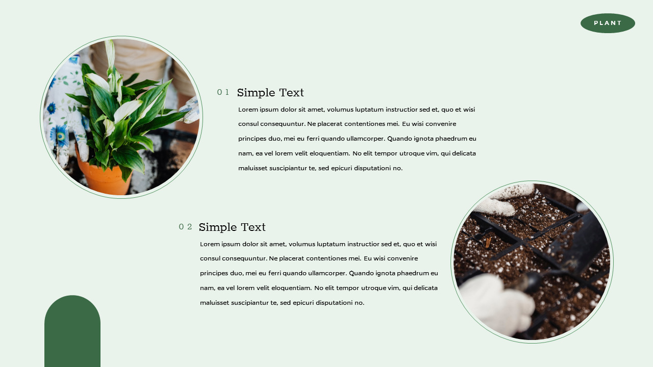 Planting Trees slideshare ppt|Lifestyle|Google