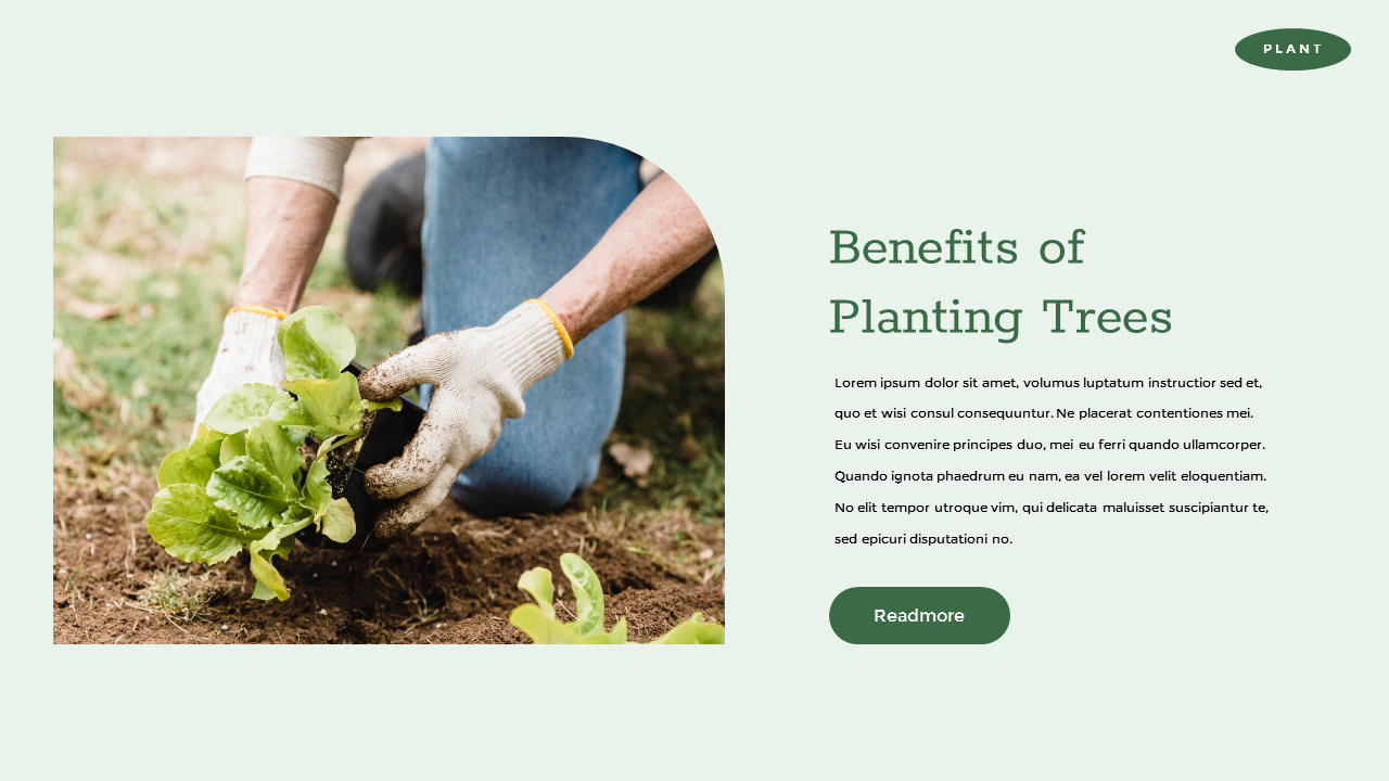 Planting Trees slideshare ppt|Lifestyle|Google