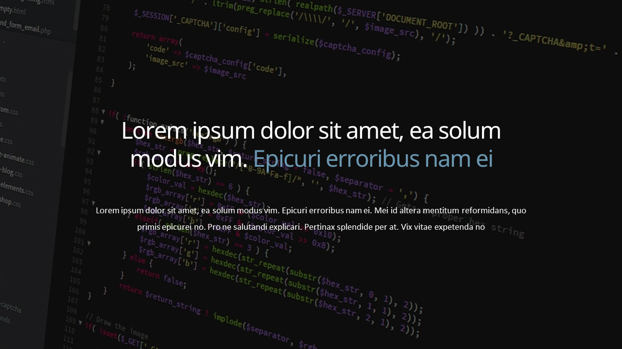 programmer PowerPoint Templates|IT/Commerce