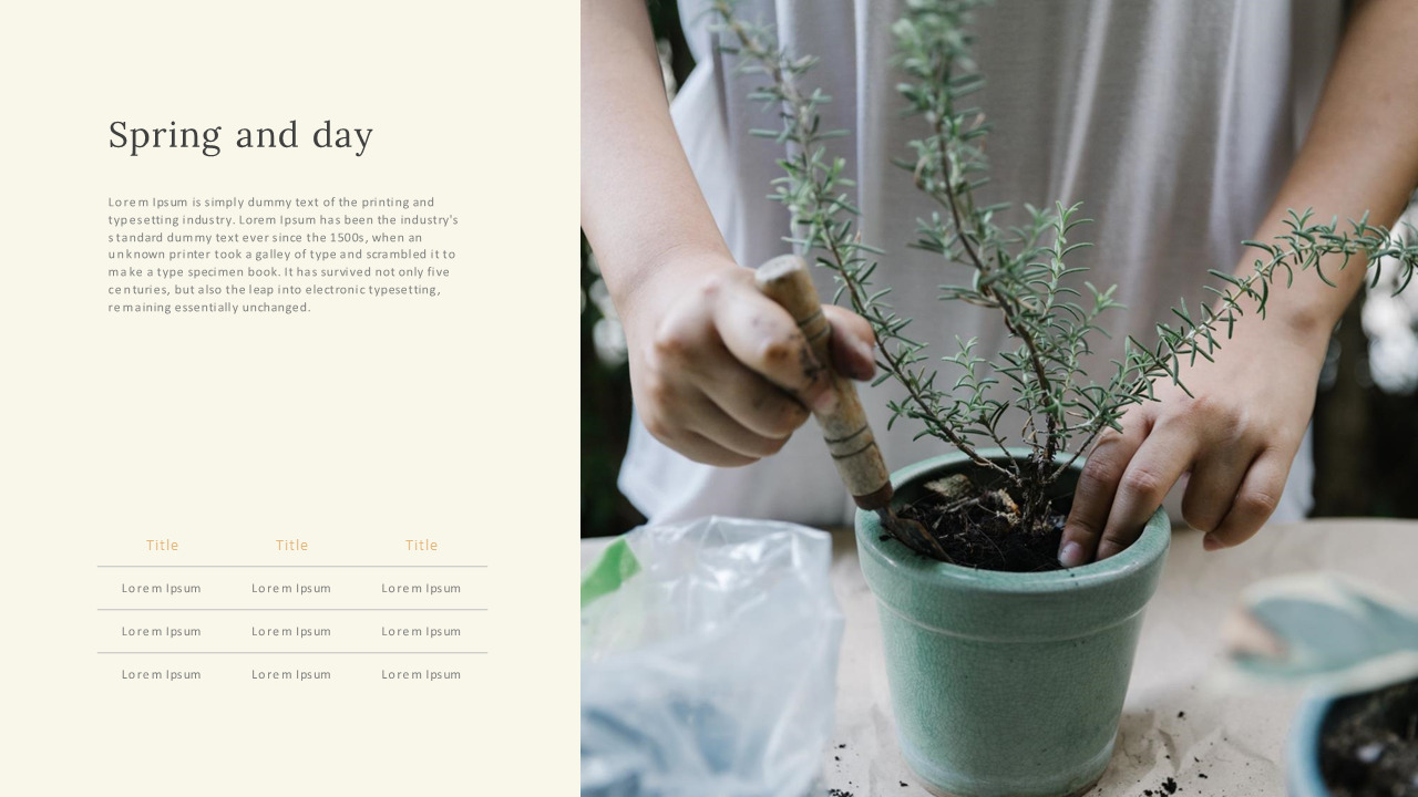 Spring Presentation Format